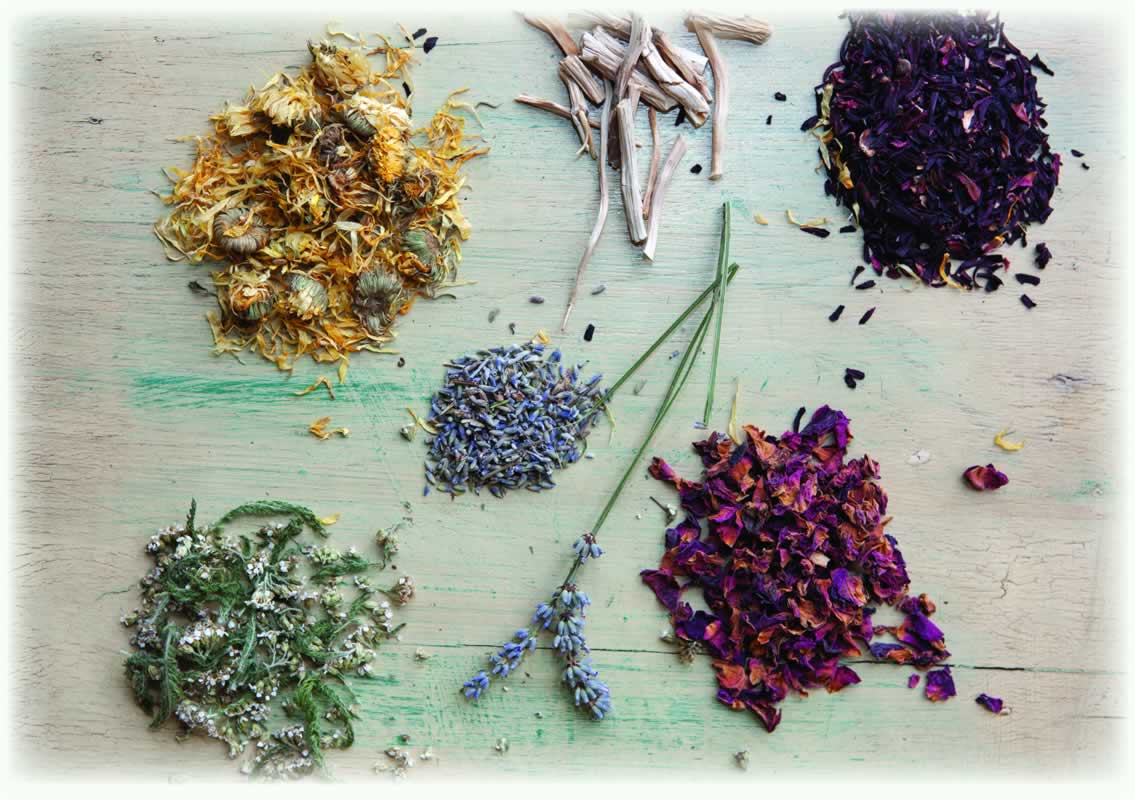 Shop | Vaginal Herbs for Yoni Steaming